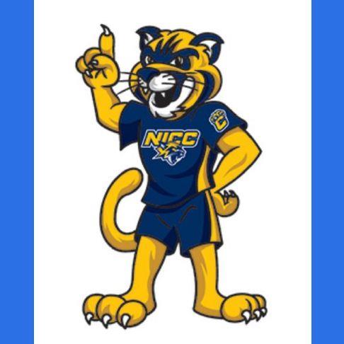 vector junior college