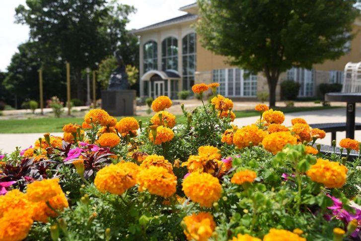 Local Students Graduate from Upper Iowa University | decorahnews.com ...